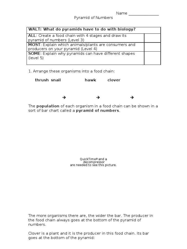 Understanding Pyramid of Numbers in Food Chains | PDF