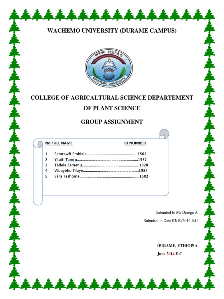 Wachemo University (Durame Campus) : No Full Name Id Number | PDF ...