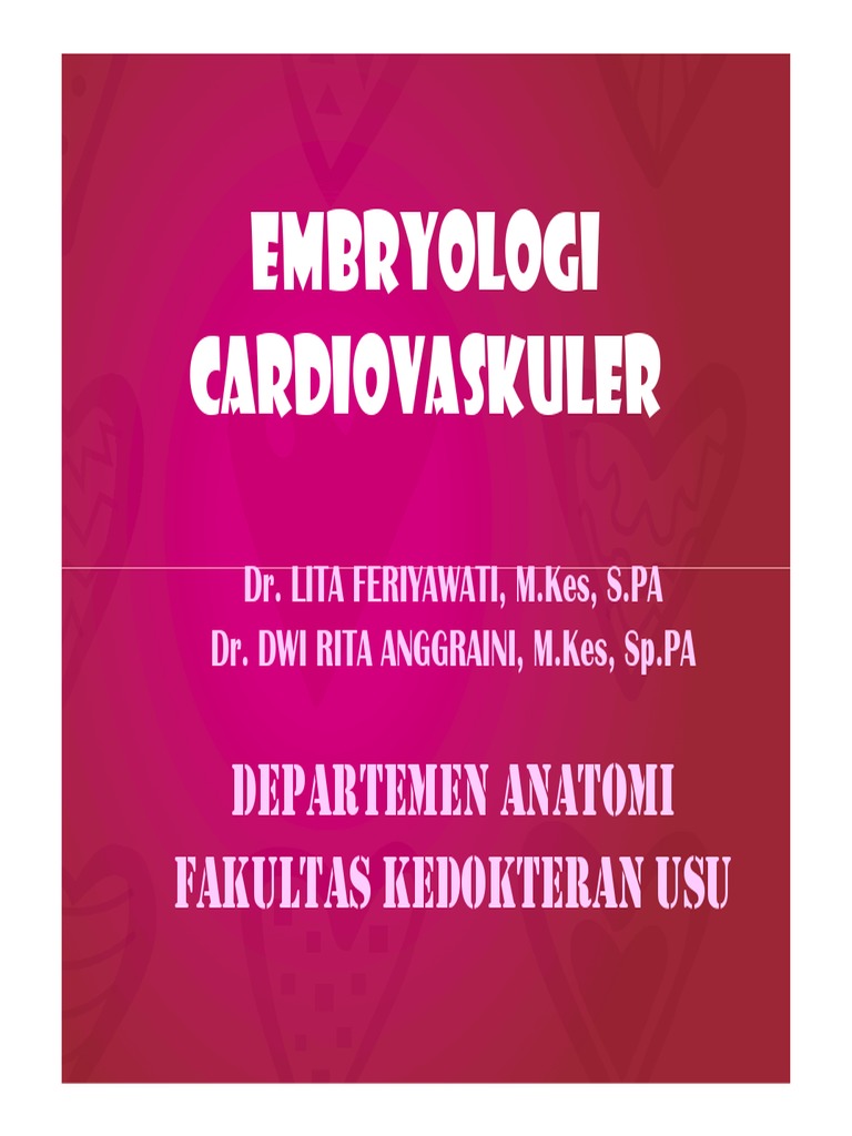 k1-Cvs1 K-1 Embryologi CV | PDF