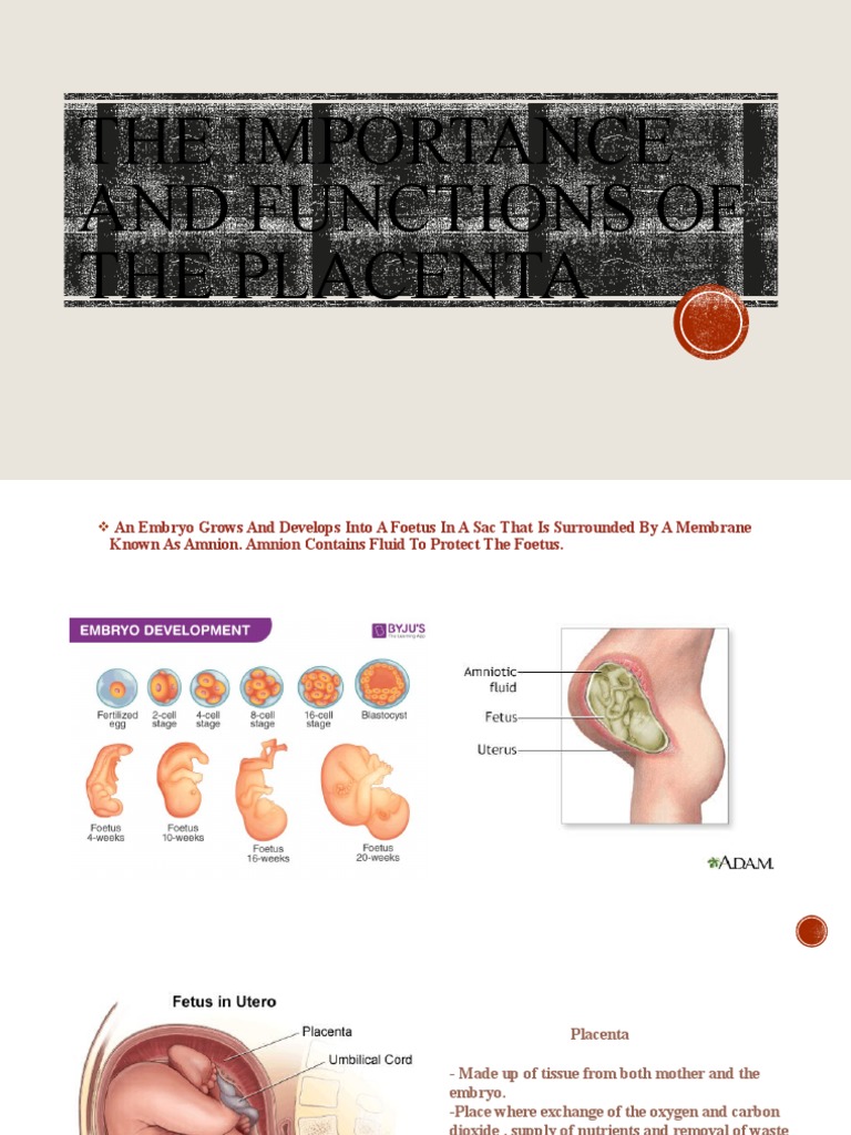 Science Form 1 (Chapter 4 Presentation) | PDF | Fetus | Placenta