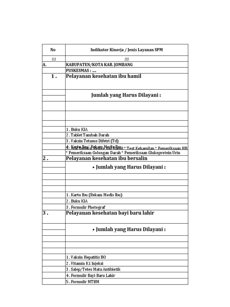 Format Laporan SPM Kemendagri KIA Fix | PDF