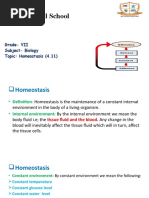 Homeostasis Notes Grade 12 | PDF | Homeostasis | Kidney