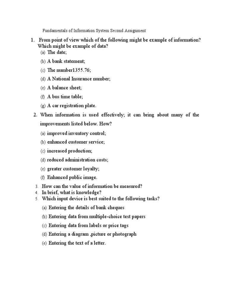 Fundamentals of Information System Second Assignment | PDF