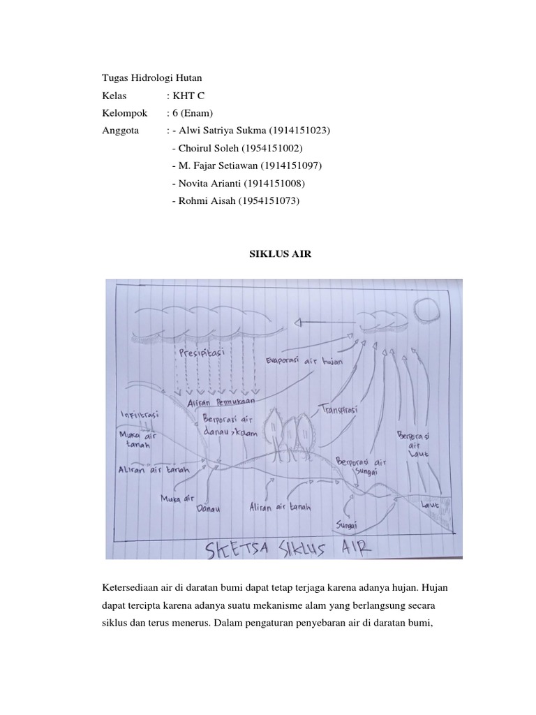 Siklus Hidrologi Hutan | PDF