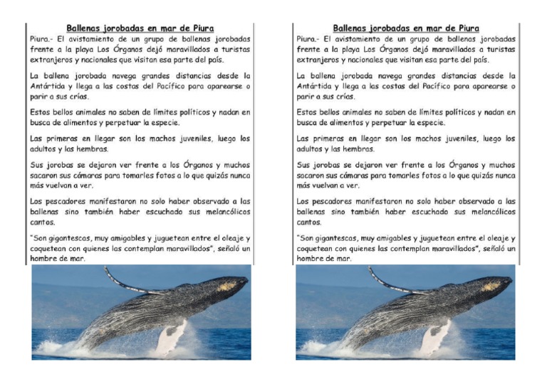 Lectura Ballenas | PDF