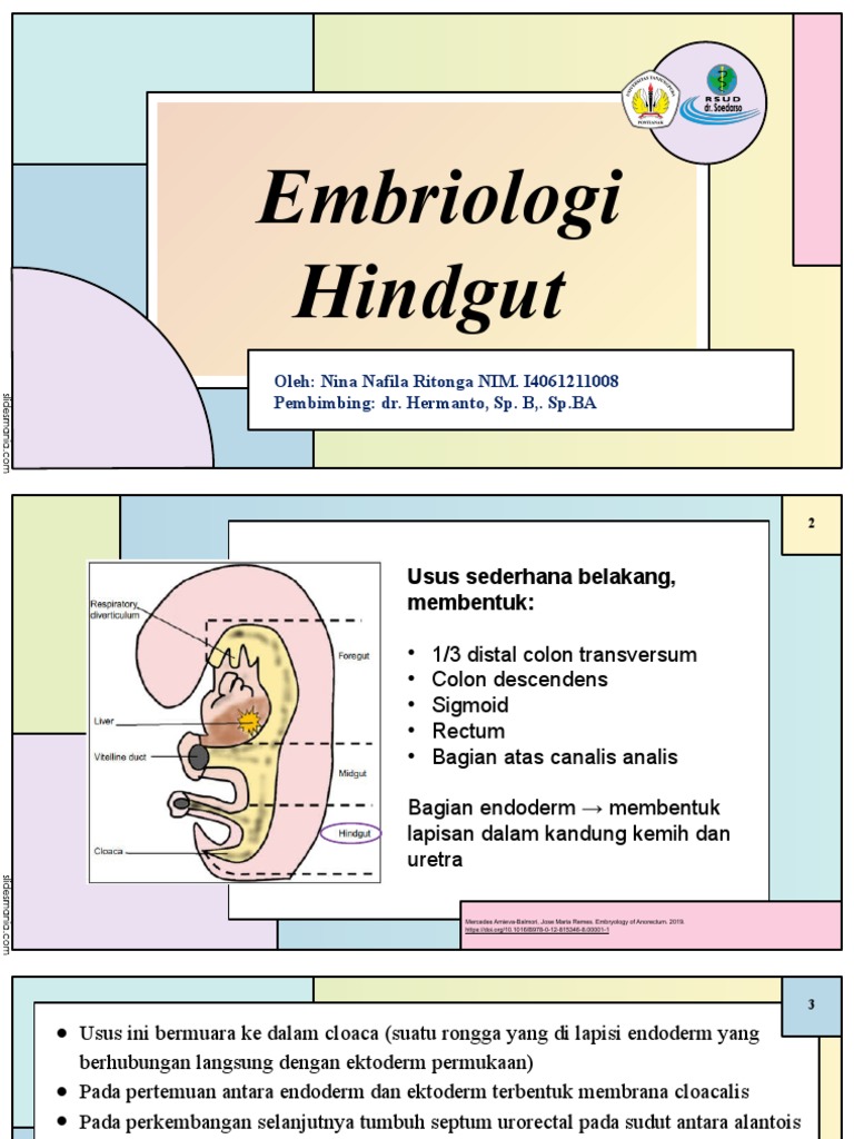DT - Embriologi Hindgut, Atresia Ani - Nina Nafila Ritonga - I4061211008 | PDF
