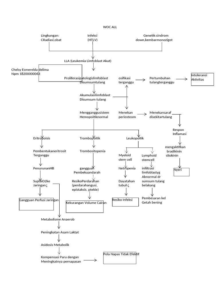 Woc Leukemia 2 | PDF