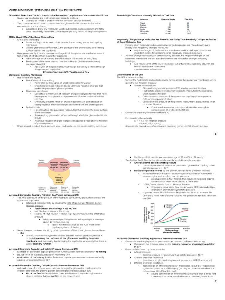 27 Guyton | PDF | Angiotensin | Kidney