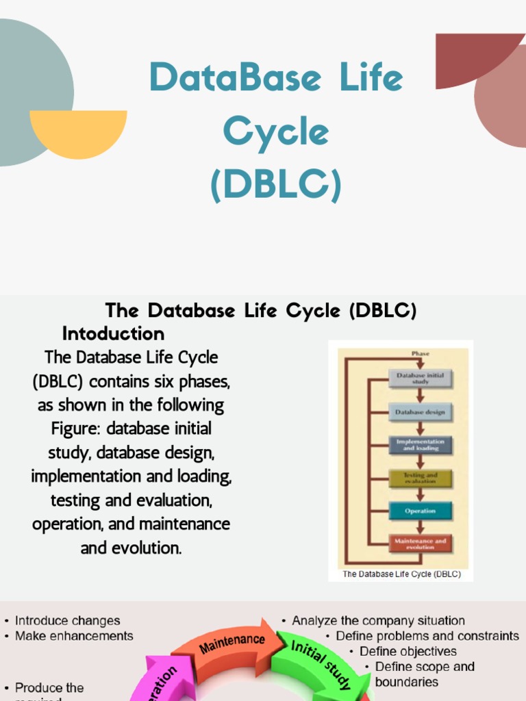 Database Life Cycle (DBLC) | PDF | Databases | Conceptual Model