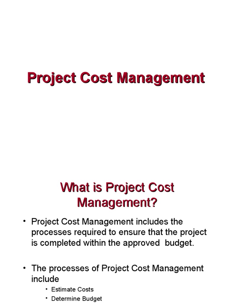 Presentation 1 Pdf Net Present Value Project Management