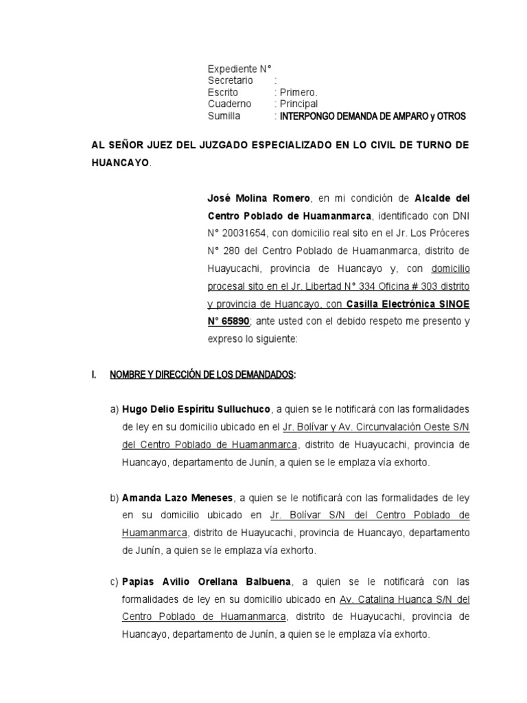 Demanda de Amparo | PDF | Derecho Constitucional | Ley procesal