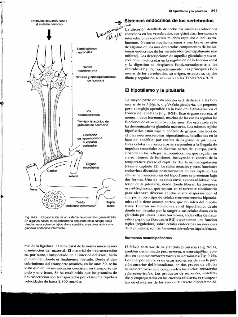 randall-d-burggren-w-y-french-k-1998-eckert-fisiolog-a-animal-pdf