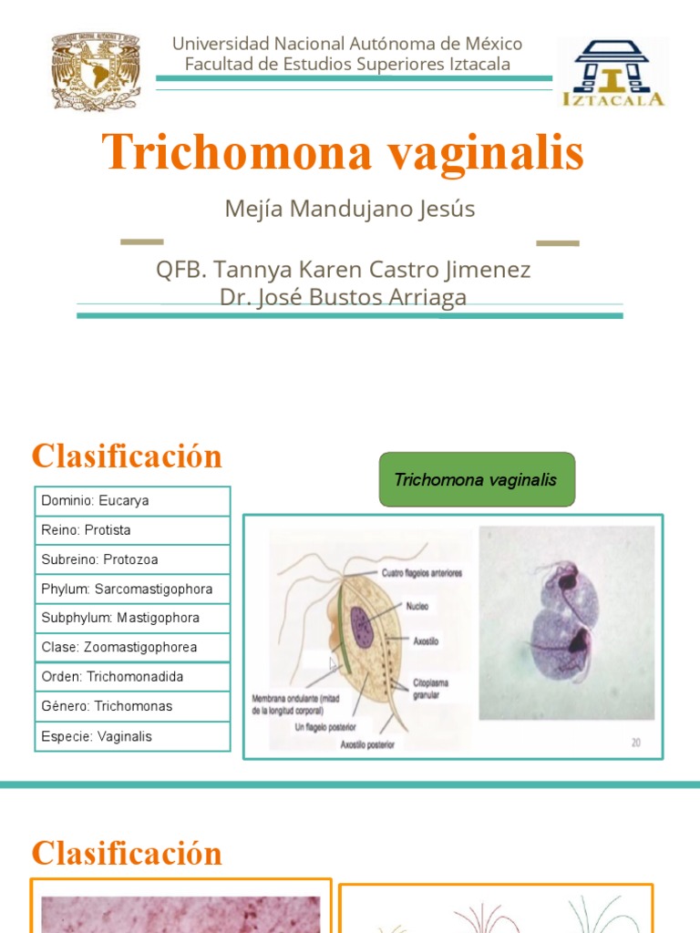 Trichomona Vaginalis 2374 | PDF | Medicina CLINICA | Enfermedades y ...