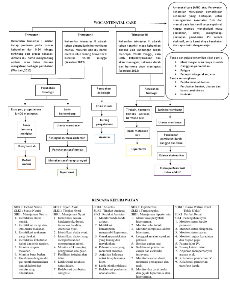 WOC ANTENATAL CARE (Yulianti-18210100133) | PDF