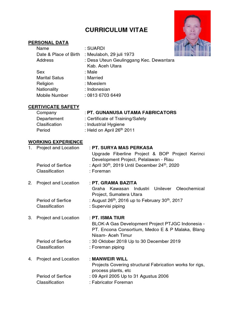 Curriculum Vitae: Personal Data | PDF