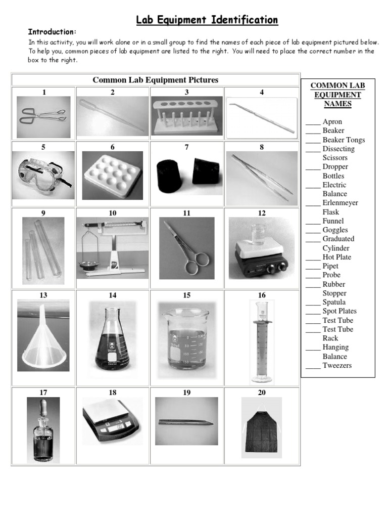 Lab Equipment Identification Worksheet | PDF | Endoplasmic Reticulum ...