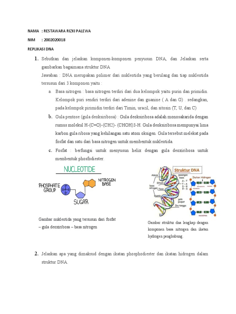 Replikasi Dna Tugas Resta | PDF