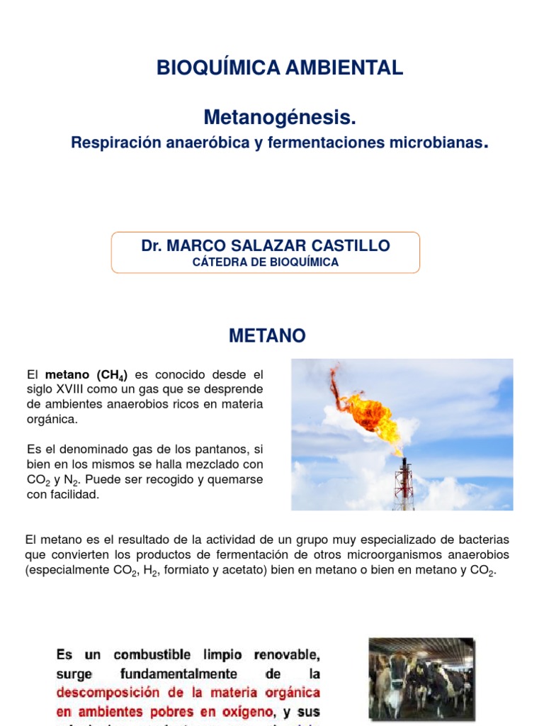OVA TEORIA - SEM 09 Metanogénesis | PDF | Digestión anaeróbica | Metano