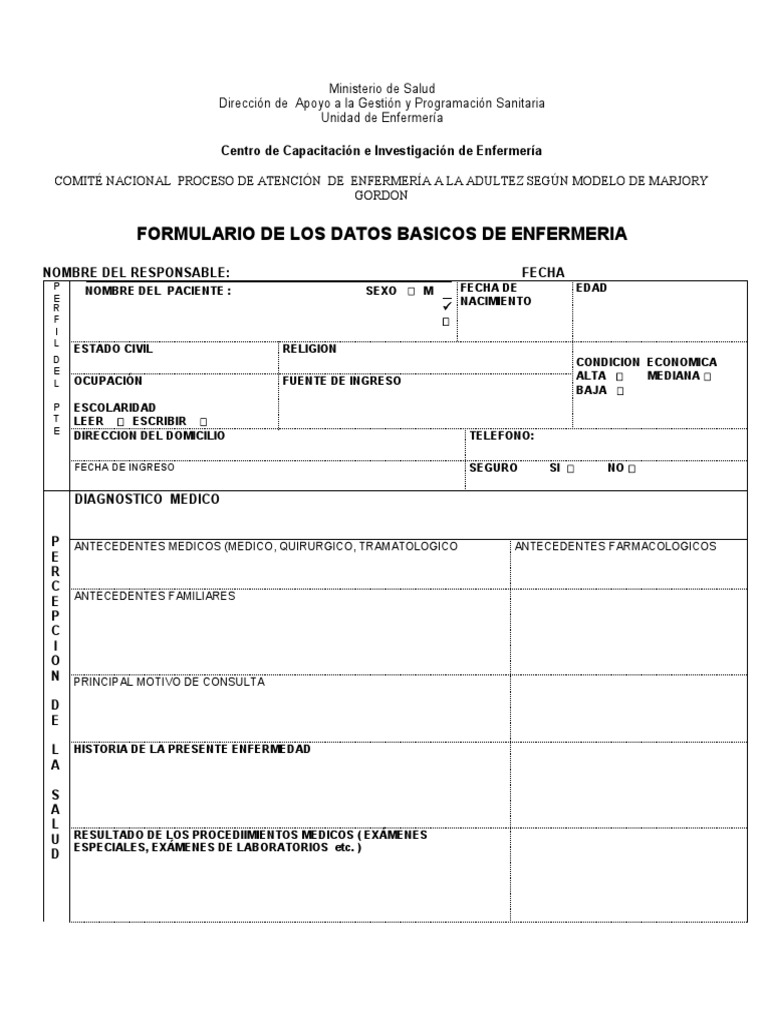 Formulario de Los Datos Basicos de Enfermeria | PDF | Enfermería | Menstruación