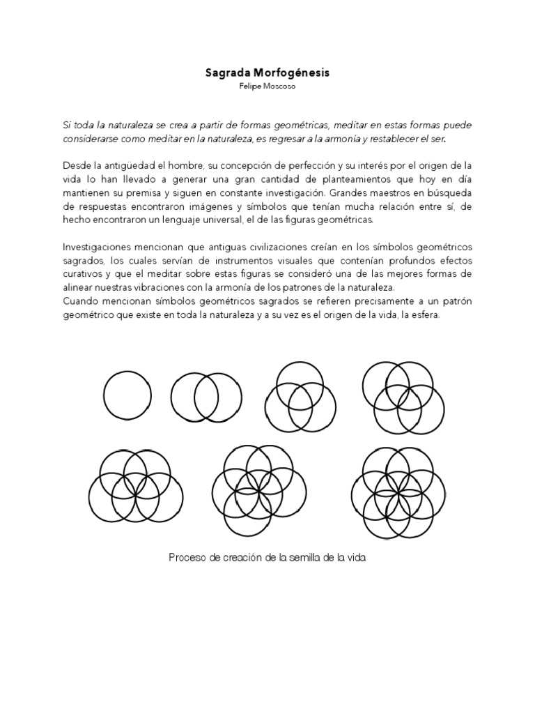 Símbolos Sagrados y Morfogénesis | PDF | Naturaleza | Animación