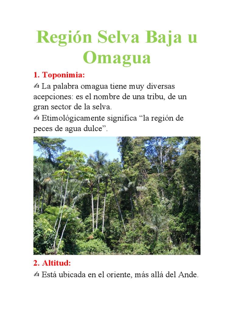 Región Selva Baja u Omagua | PDF