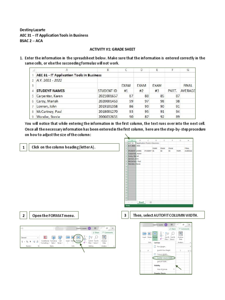 IT Application Tools in Business - Activity 1 Documentation | PDF | Spreadsheet | Computing
