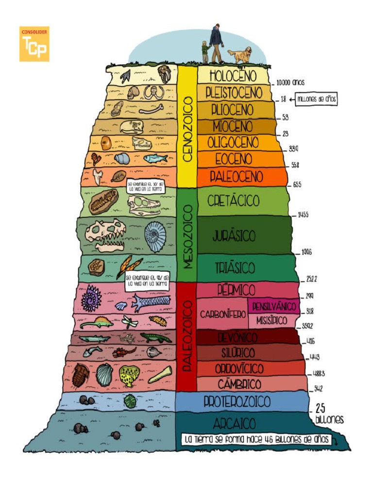 Eras de La Tierra | PDF