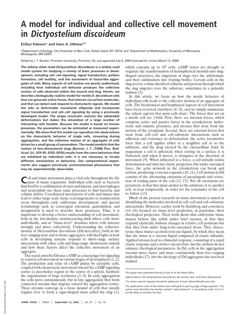 A Model For Individual and Collective Cell Movement in Dictyostelium ...