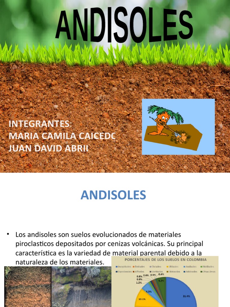 Andesol Original | PDF