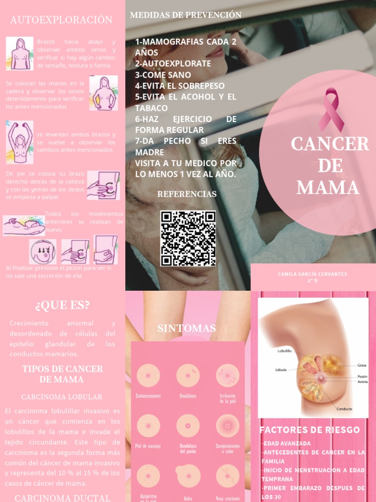 Folleto Cancer de Mama | Descargar gratis PDF | Cáncer de mama | Pecho