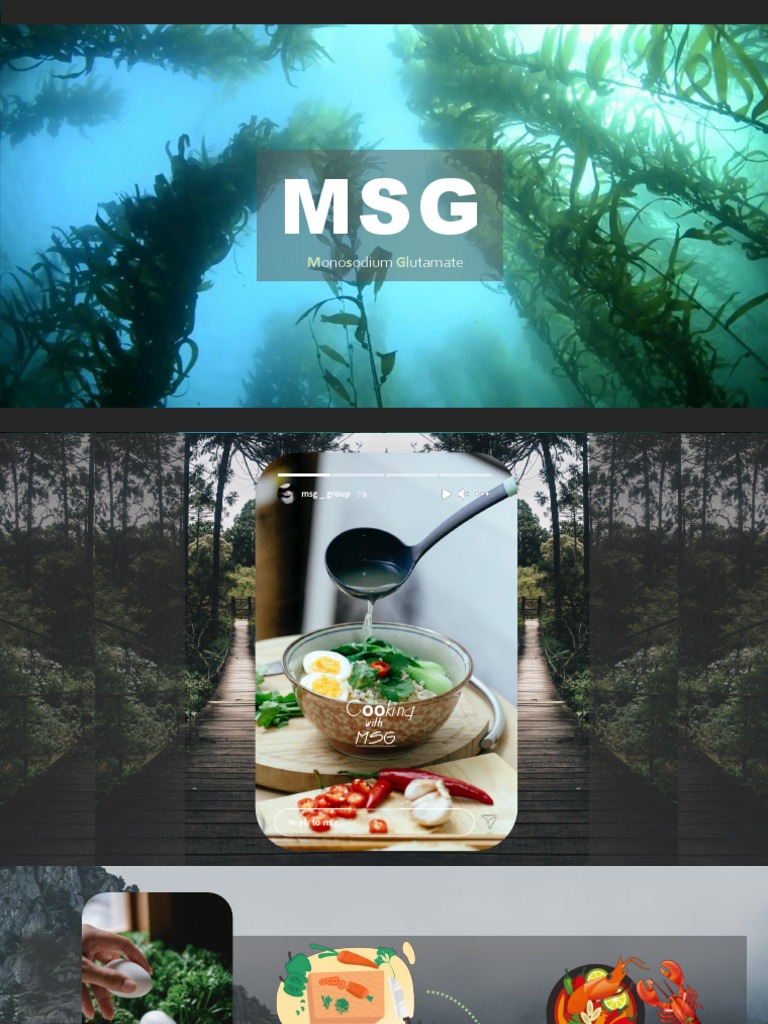 MSG Group 1 - 2 | PDF | Glutamic Acid | Hydrolysis