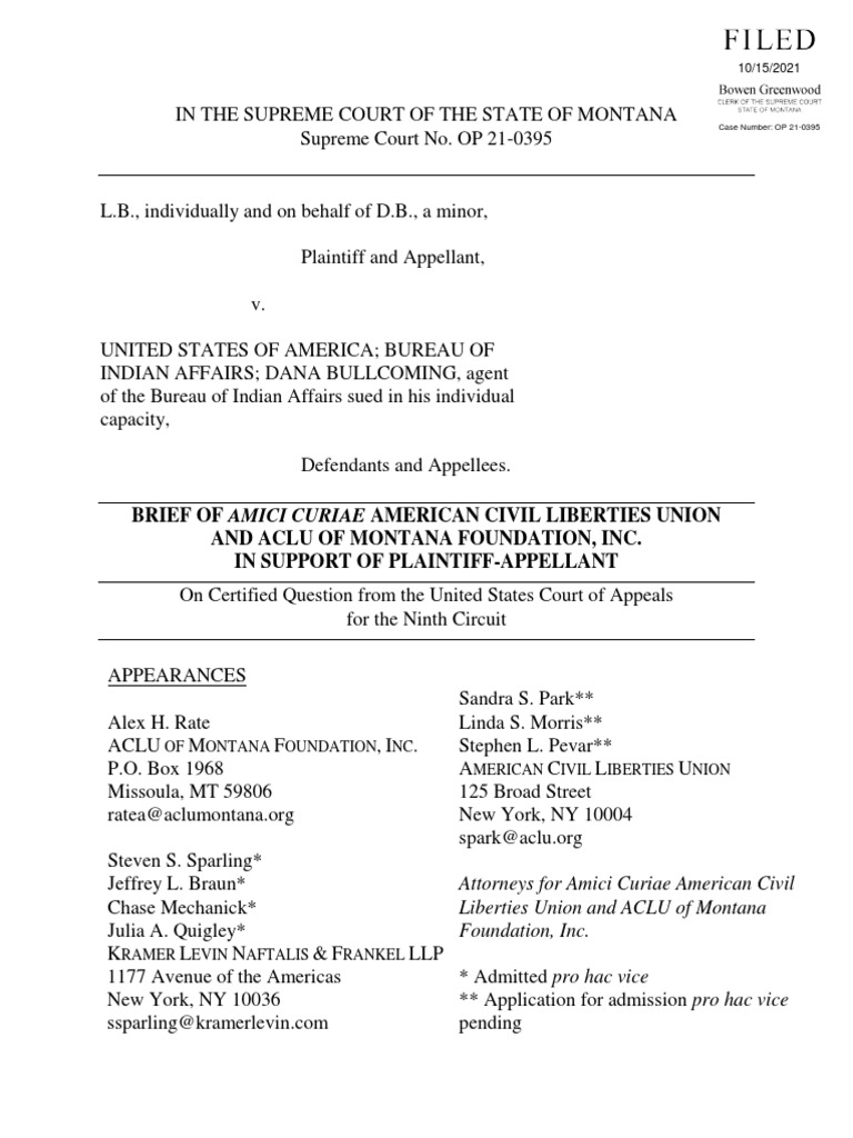 Amicus Brief | PDF | Lawsuit | Rape