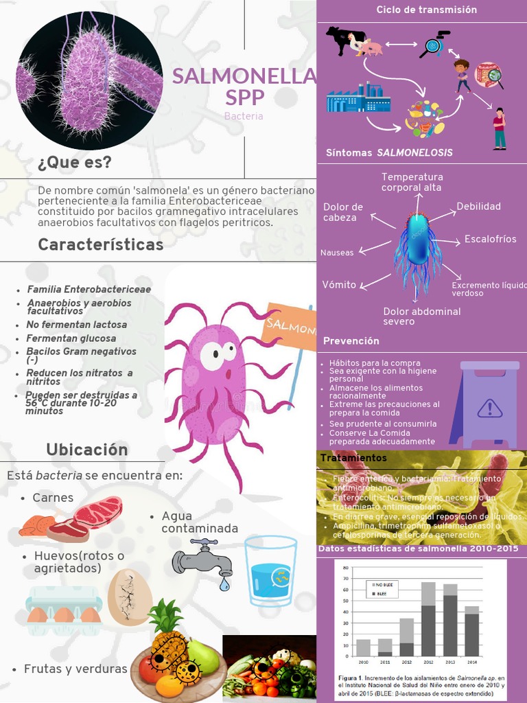 Salmonella SPP | PDF | Salmonela | Medicina