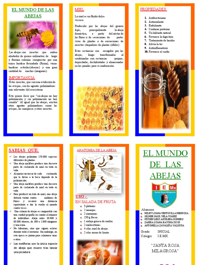 Triptico de La Abeja | PDF | Miel | Abejas
