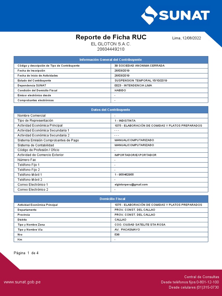 Ficha Ruc Digital | PDF