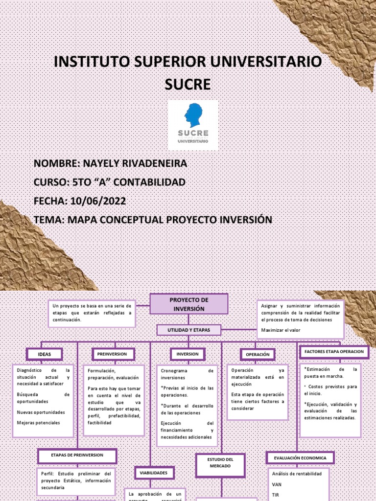 Mapa Conceptual Proyecto de Inversion | PDF | Inversiones | Ciencias económicas