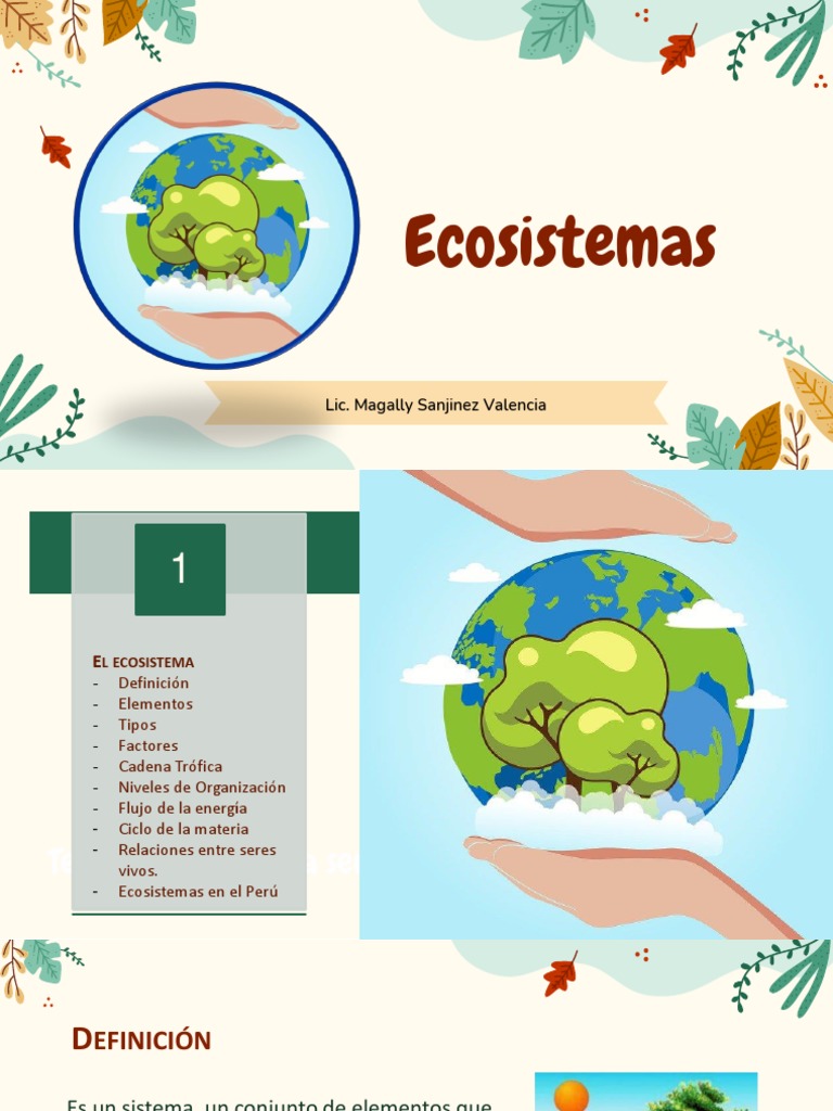 Ecosistemas | PDF | Ecosistema | Red alimentaria