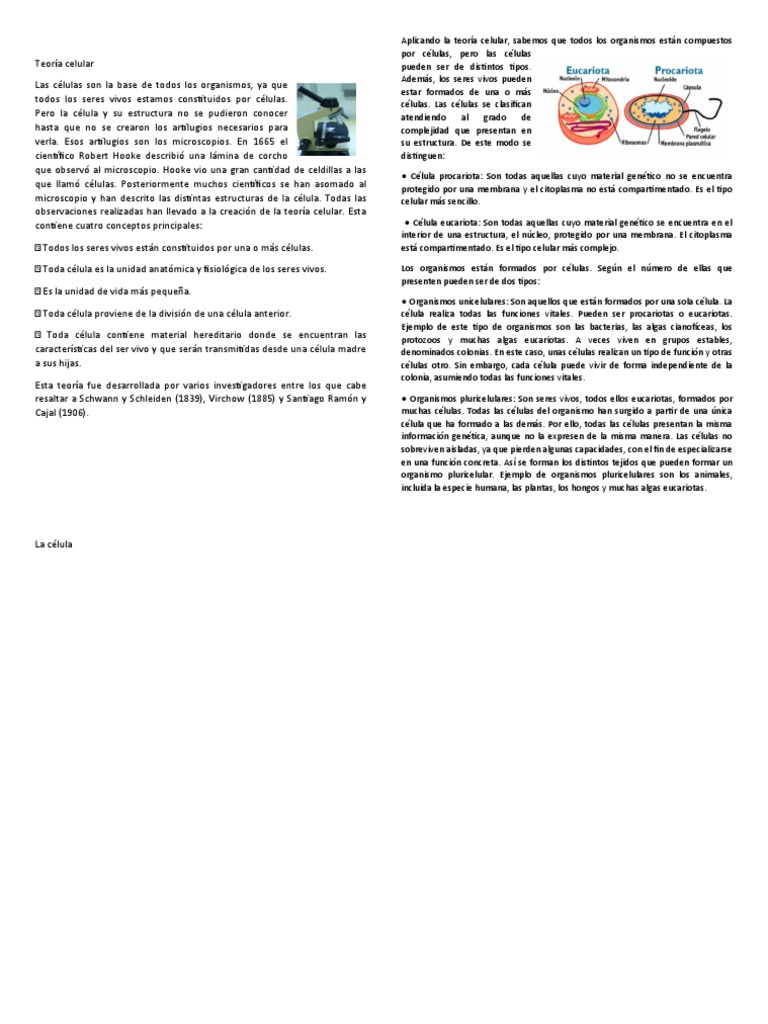 Teoría celular y tipos de células | PDF | Biología Celular) | Organismos