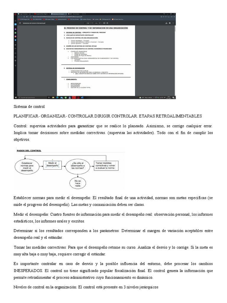 Sistema de Control Resumen | PDF | Presupuesto | Planificación