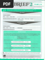 Cuadernillo Brief-2 Familia | PDF