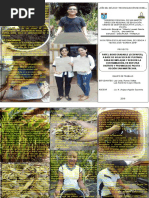 Ficha Tecnica Bullgrass 30.4 SL | PDF | Plantas | Botánica