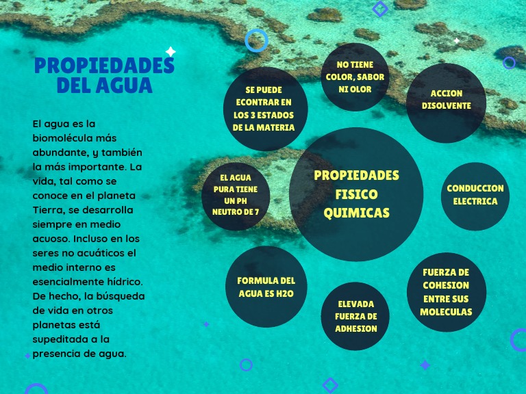 Importancia y Propiedades del Agua | PDF | Ciencia y matemáticas