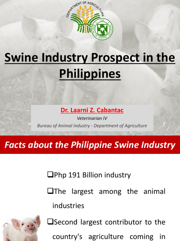 Philippine Swine Industry Overview 2023 | PDF | Pig | Agriculture