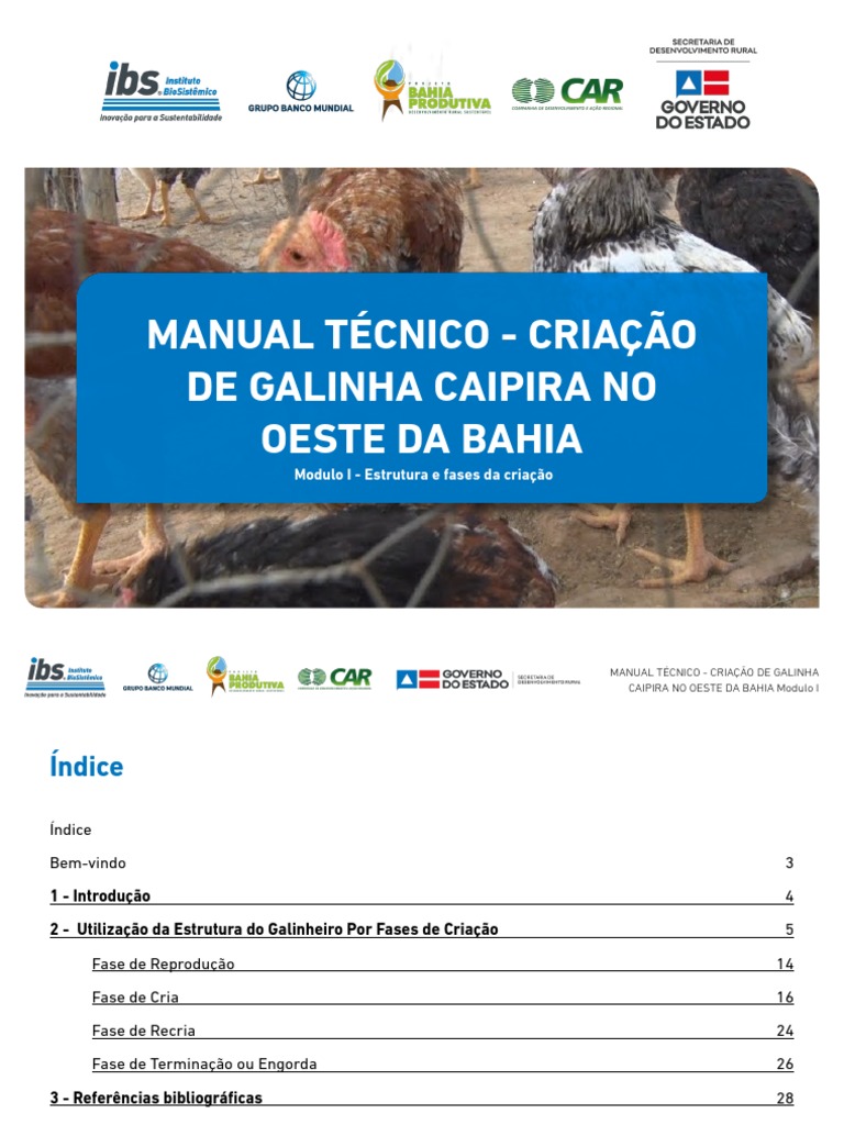 Manual Tecnico Criacao de Galinha Caipira No Oeste Da Bahia Modulo I | PDF | Frango | Aves