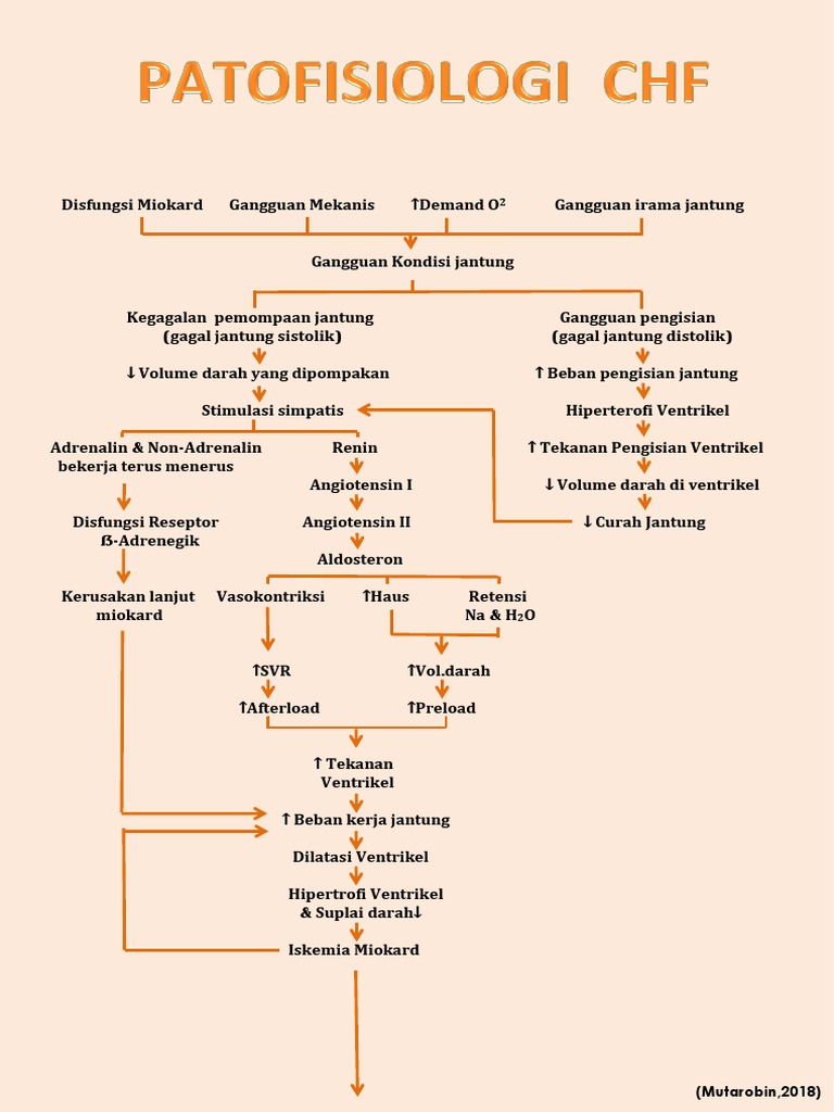 Pertemuan 8 - Patofisiologi CHF | PDF