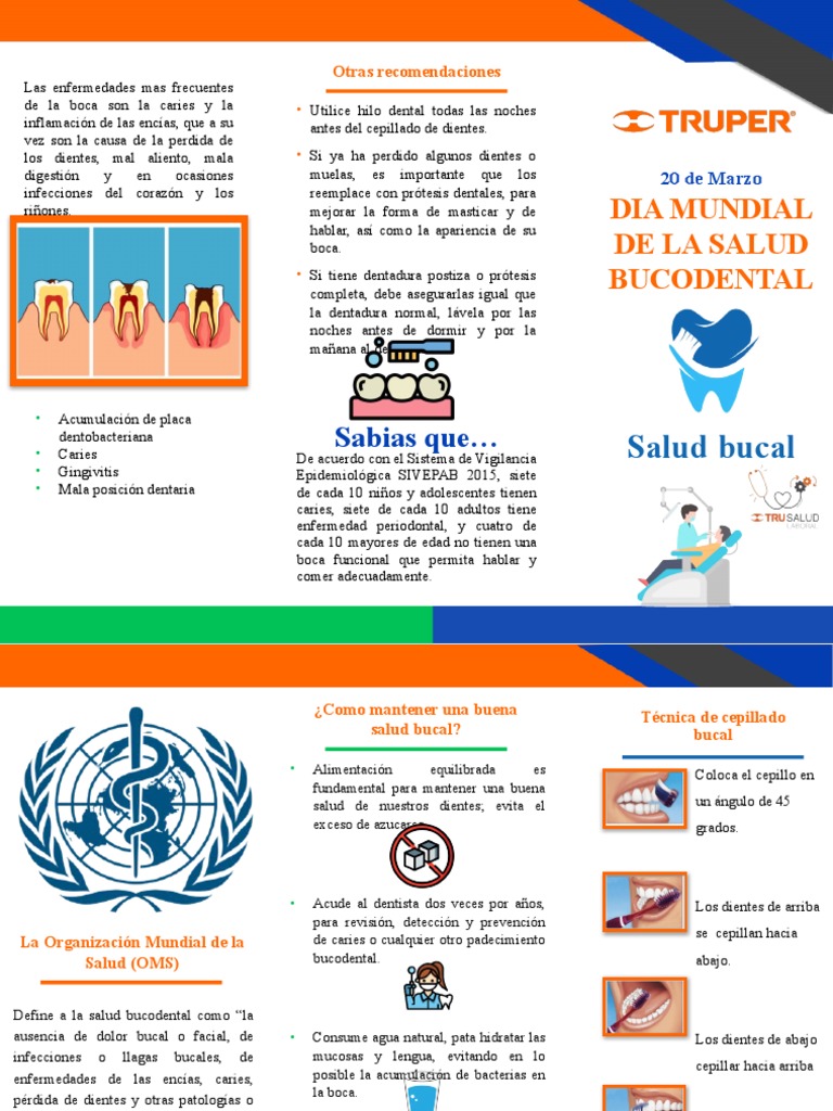 TRÍPTICO Salud Bucal | PDF | Dentadura postiza | Odontología