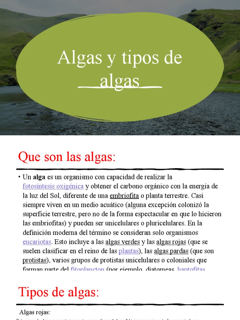 Algas y Tipos de Algas | PDF | Algas | Plantas