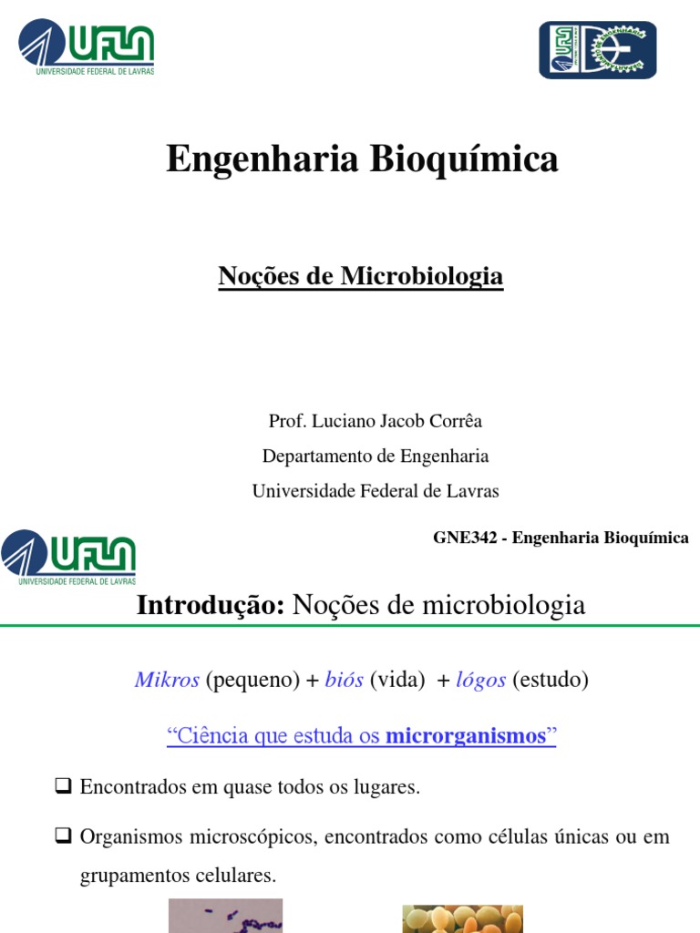 Uma Introdução às Noções Básicas de Microbiologia | PDF | Bactérias ...