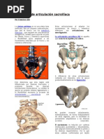 Nutación y Contranutación en la Pelvis | PDF | Pelvis | Sistema esquelético
