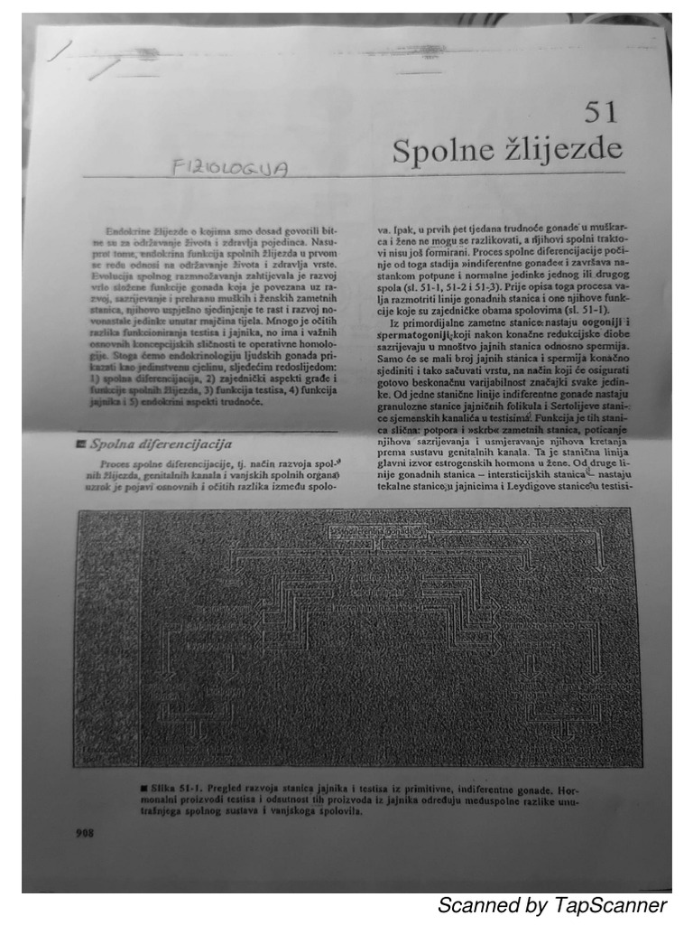 Spolni Sustav S35 | PDF